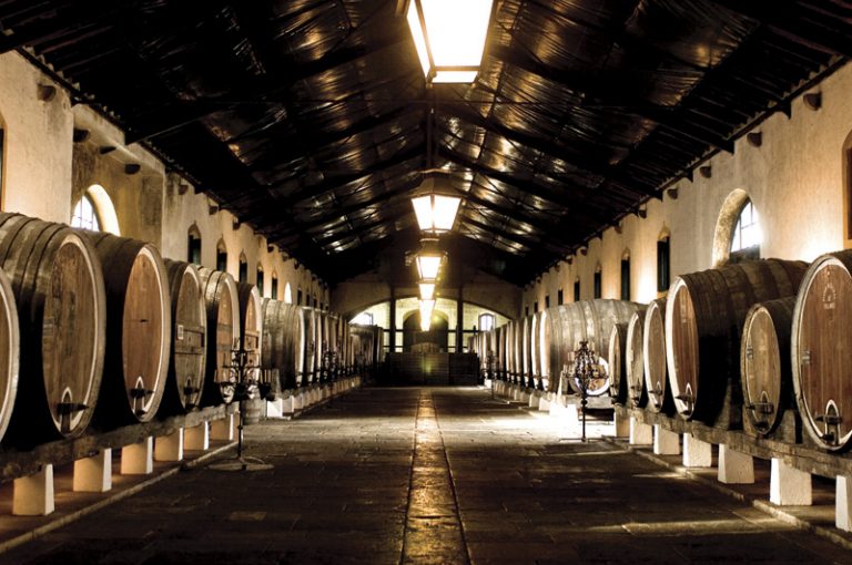 Os vinhos históricos de Colares e a história da Adega Regional – Maria ...